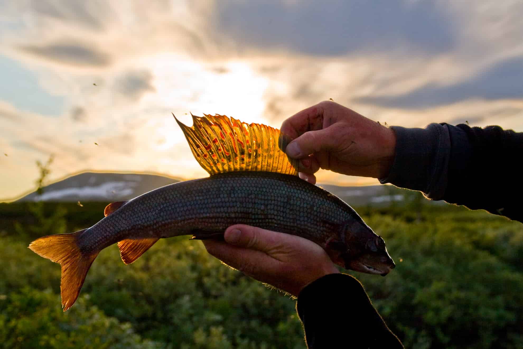 Fishing and angling in Sweden | Visit Sweden