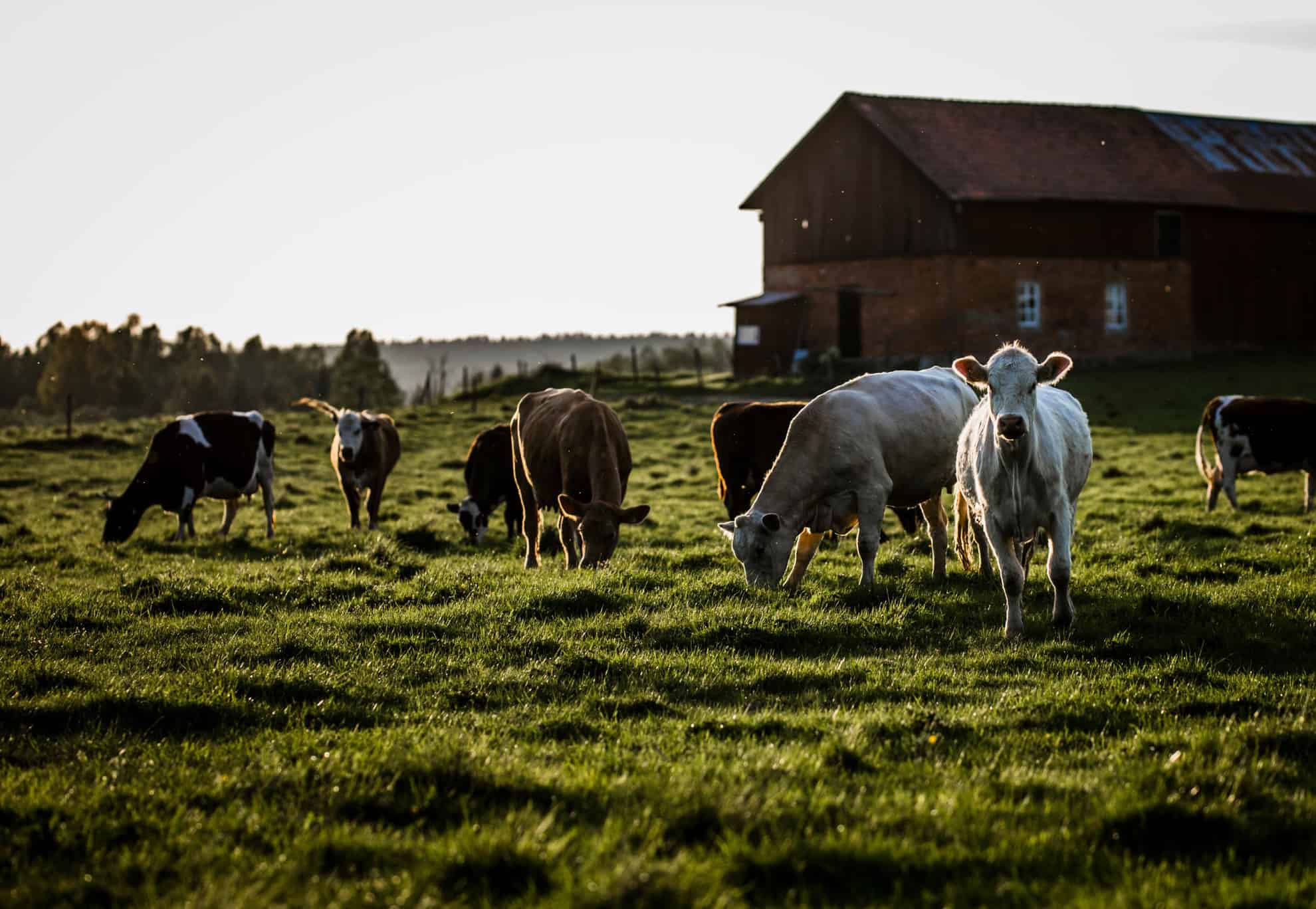 Spring in Sweden | Visit Sweden