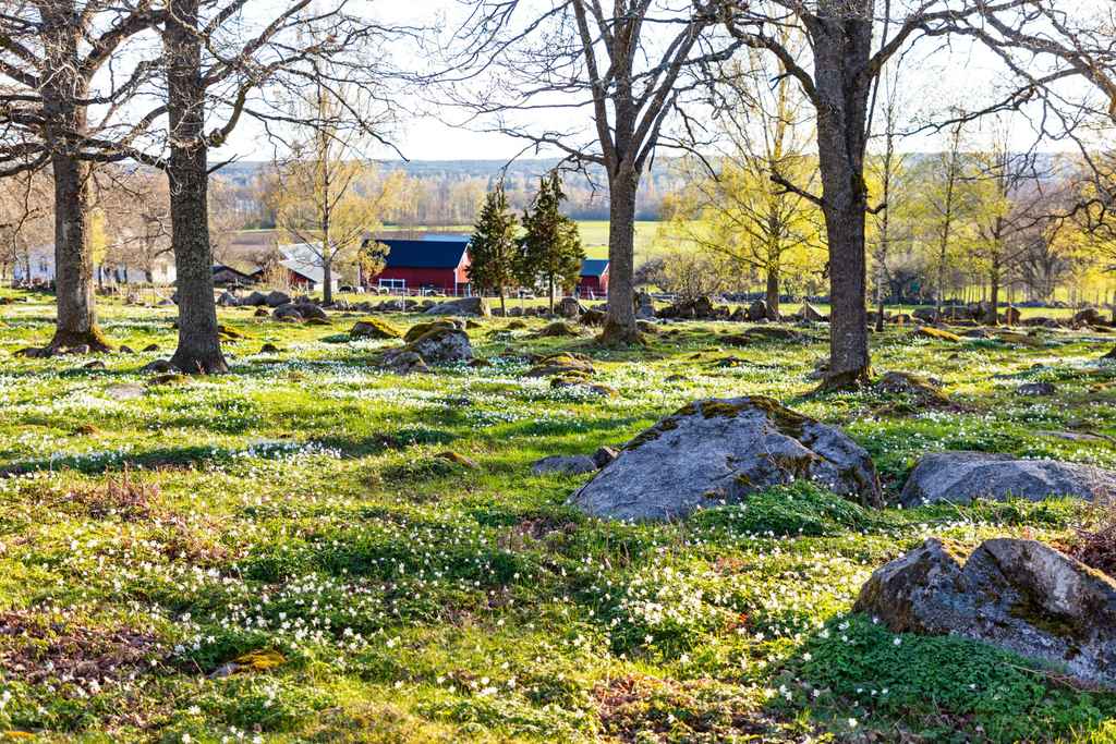 Spring in Sweden | Visit Sweden