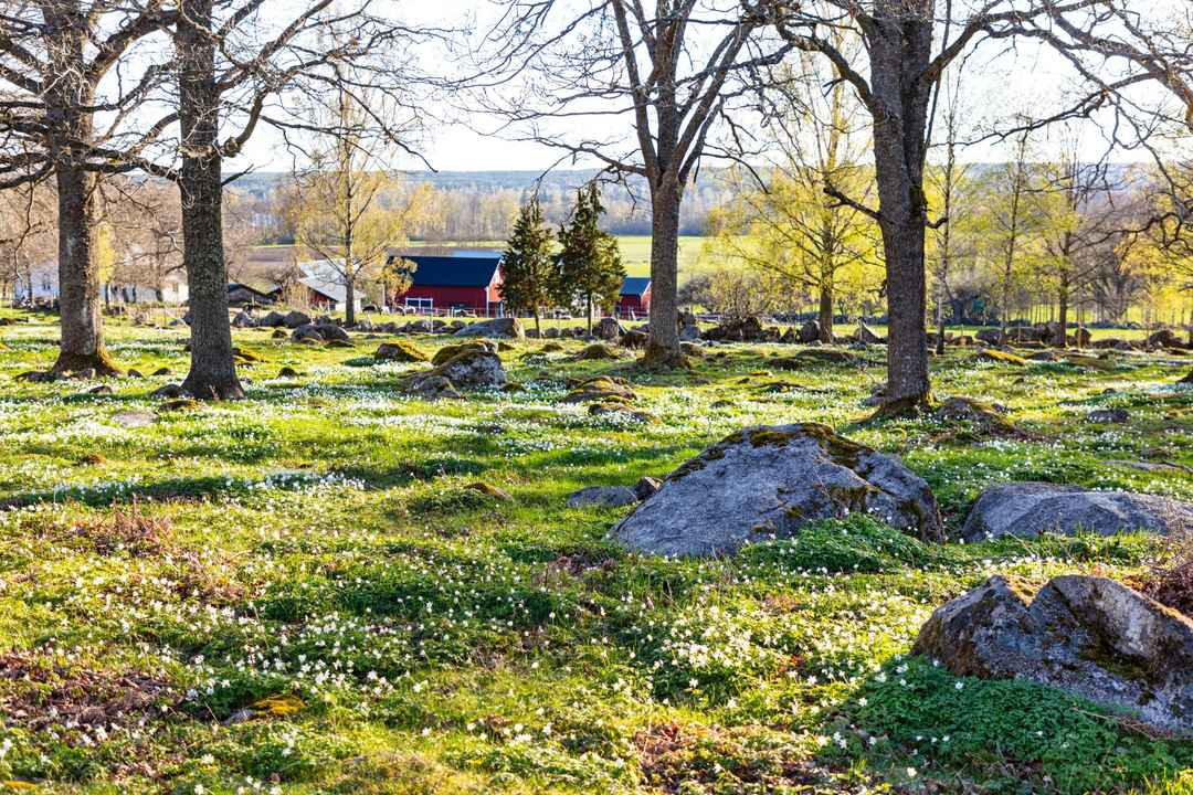 Spring in Sweden | Visit Sweden