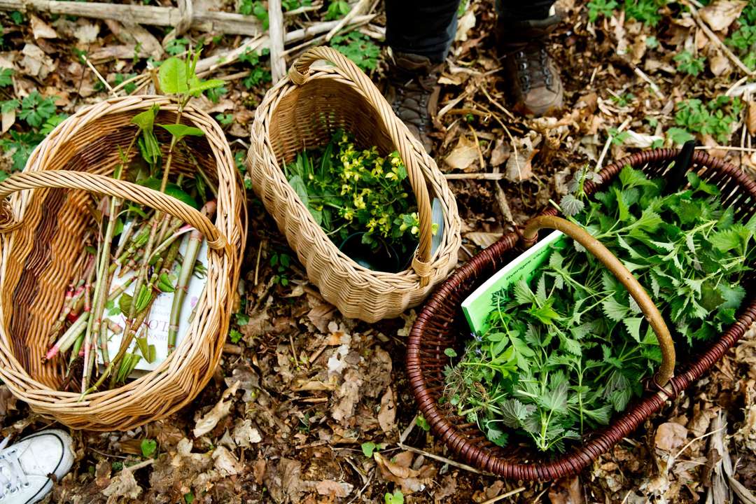 Summer in Sweden | Visit Sweden