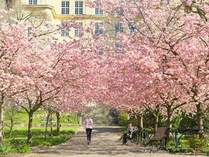 Spring in Sweden | Visit Sweden