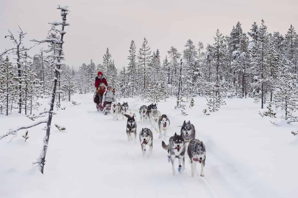 Visit Kiruna For Northern Lights And Other Natural Wonders Visit Sweden visit-kiruna-for-northern-lights-and-other-natural-wonders-visit-sweden